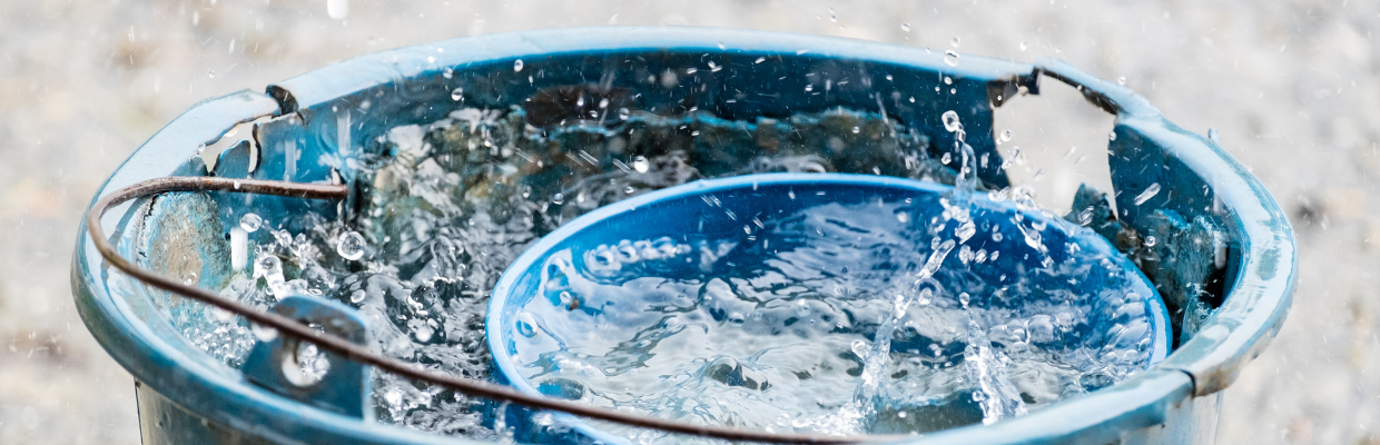 Aloha Community Library